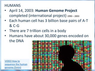 DNA Technology Notes | PPT