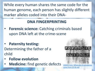 DNA Technology Notes | PPT