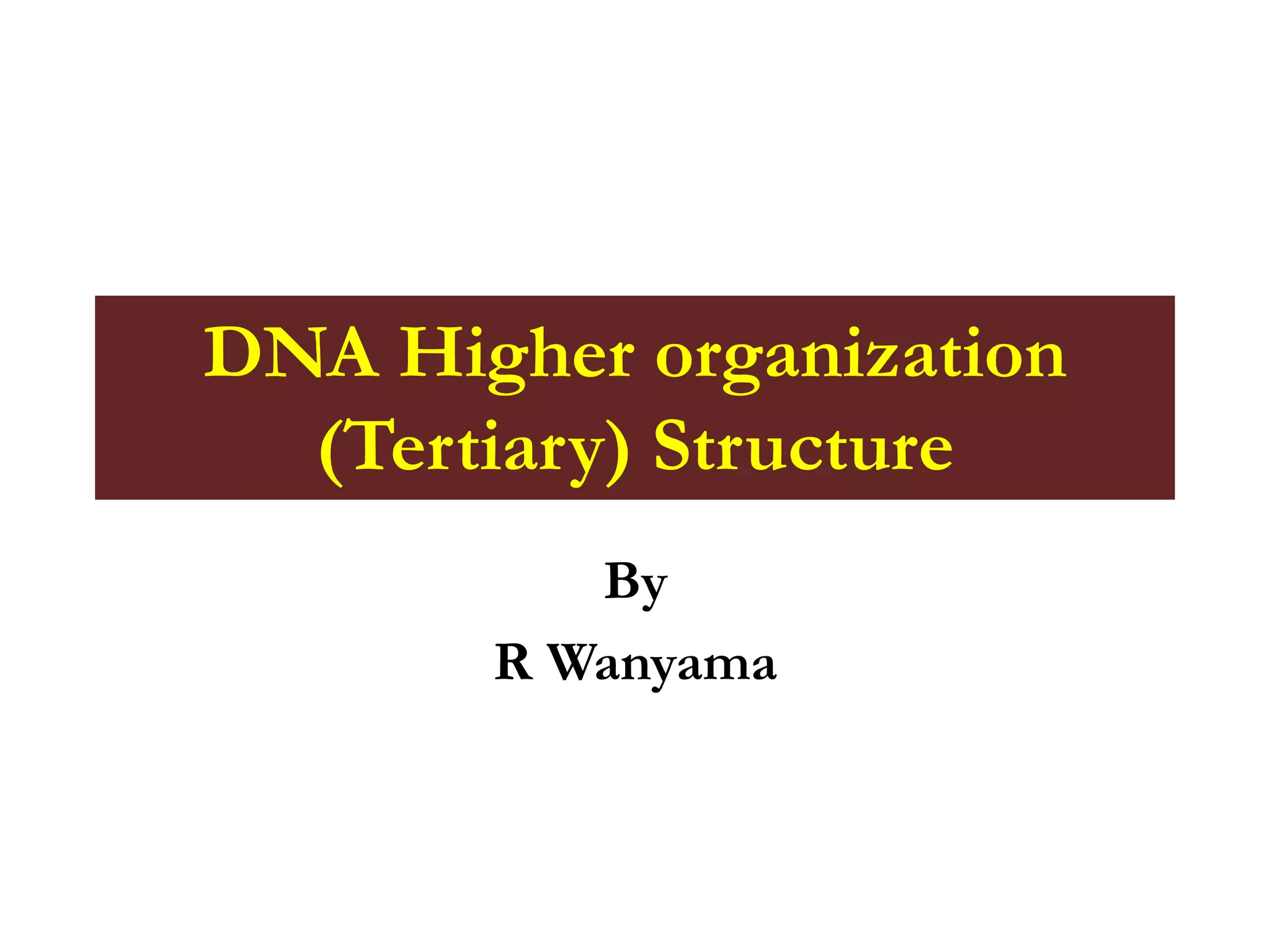 DNA tertiary structure 2022.pdf