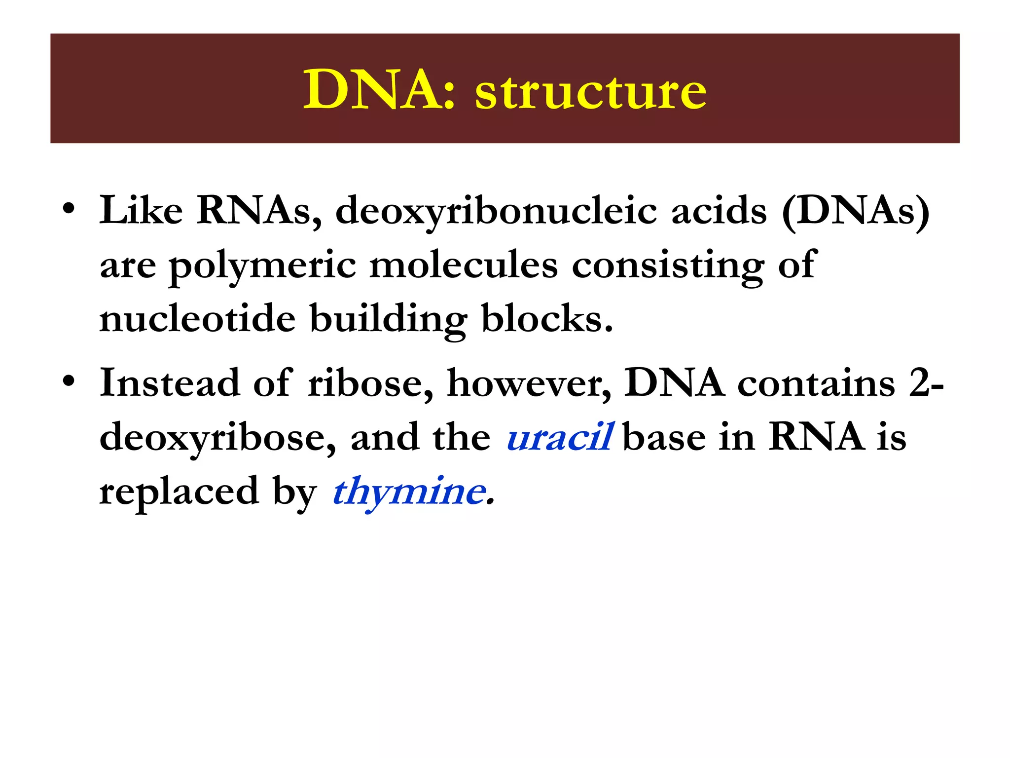 DNA tertiary structure 2022.pdf