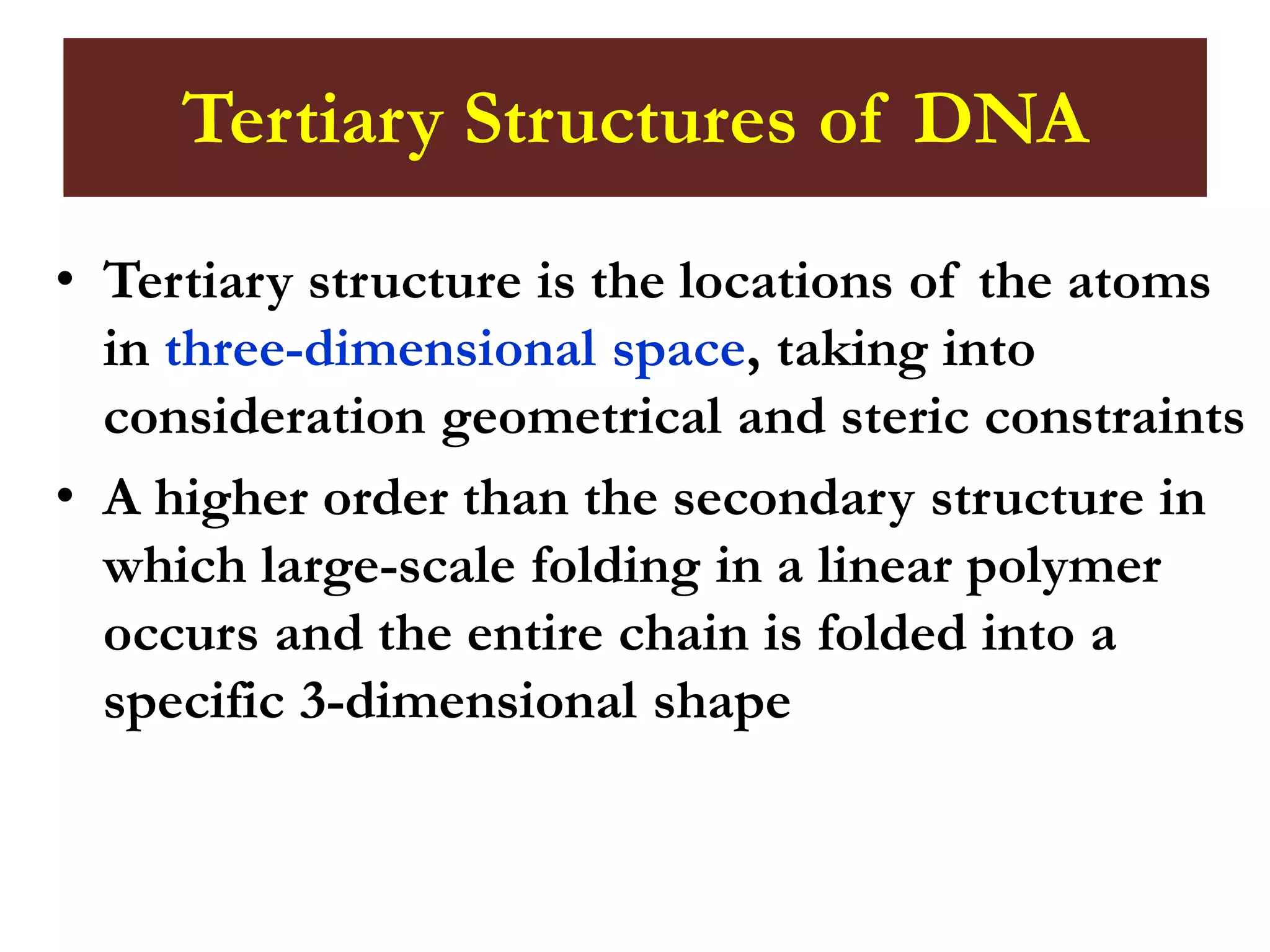 DNA tertiary structure 2022.pdf