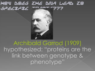 DNA the carrier of genetic information | PPTX