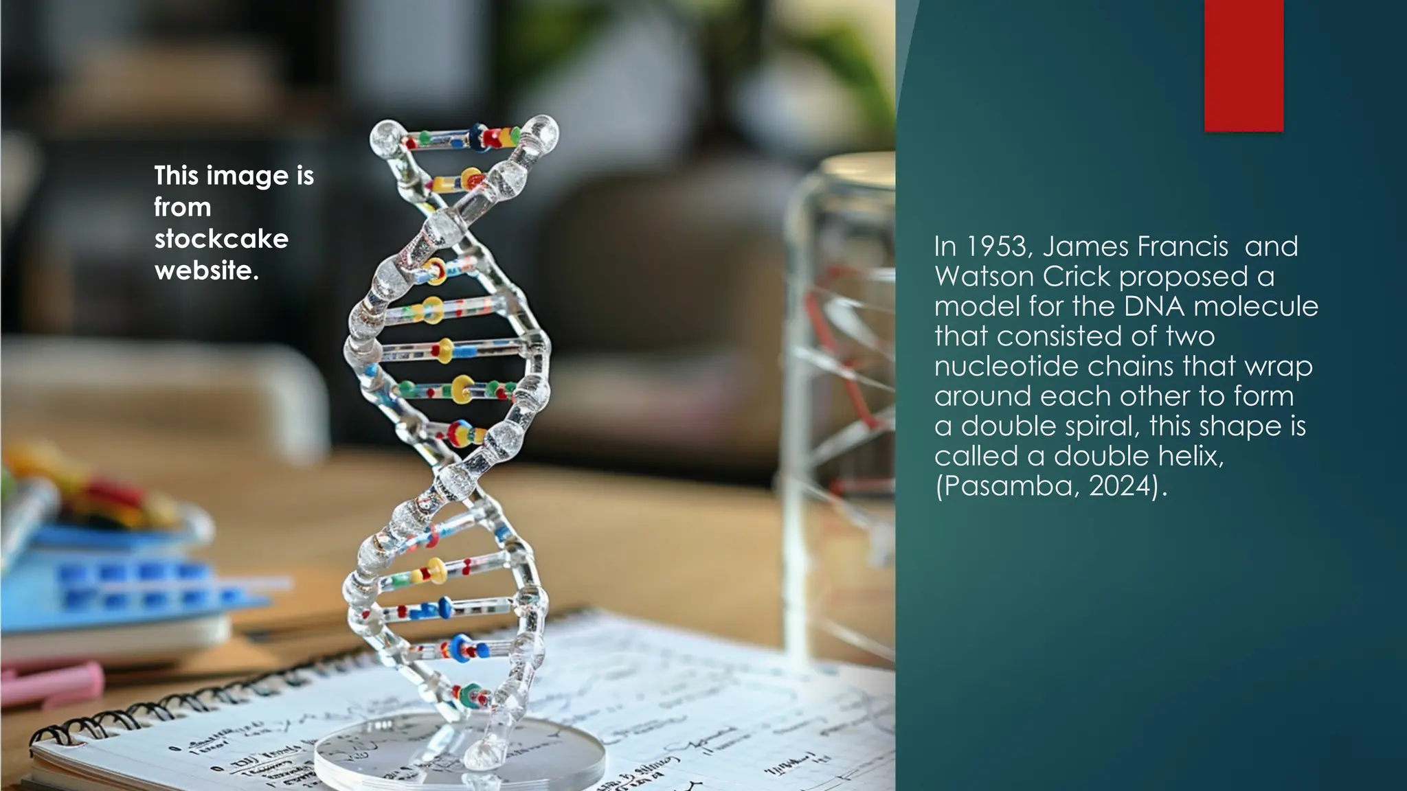 DNA The code of life presentation.pptx