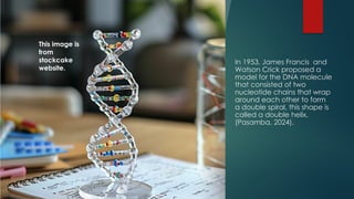 DNA The code of life presentation.pptx