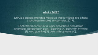 DNA The code of life presentation.pptx