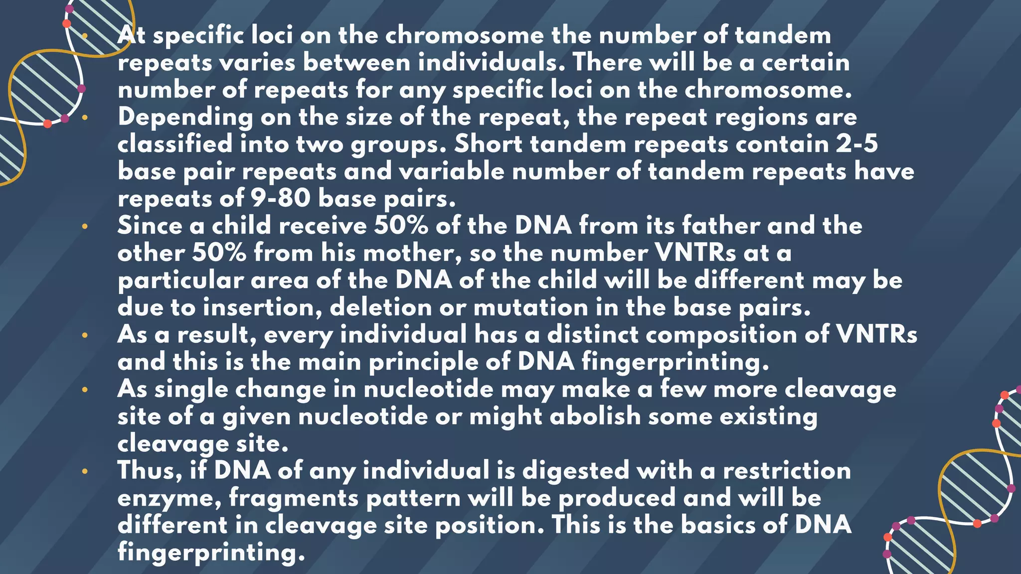 DNA the human body recipe by slidesgo | PPTX