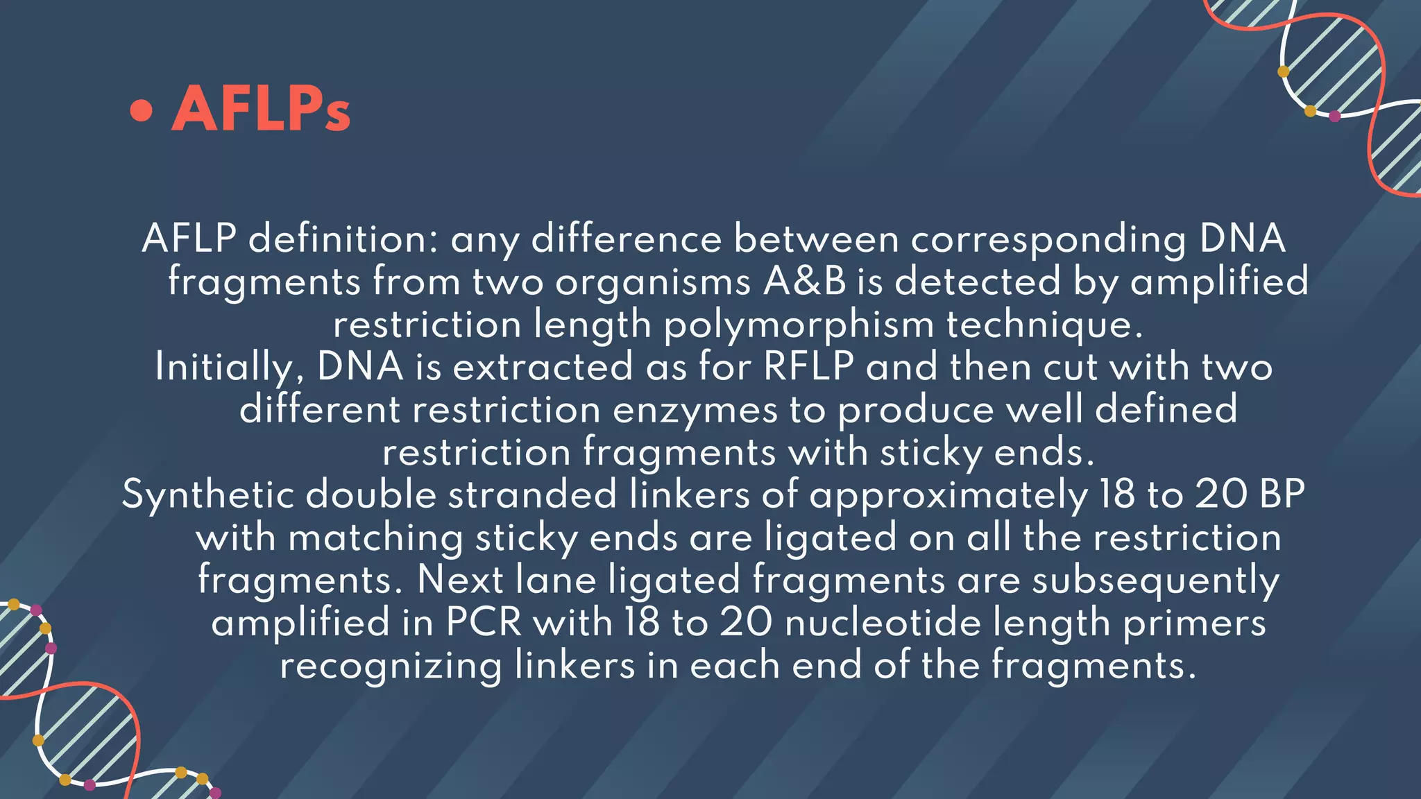 DNA the human body recipe by slidesgo | PPTX
