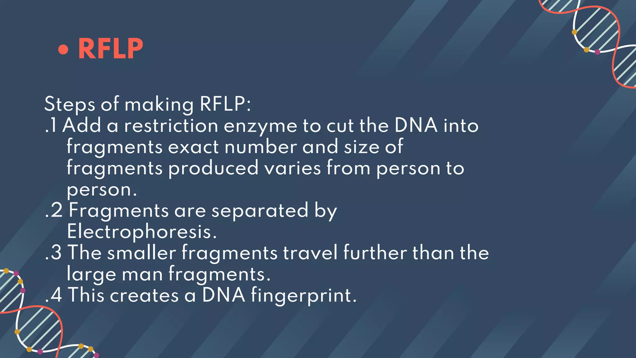 DNA the human body recipe by slidesgo | PPTX