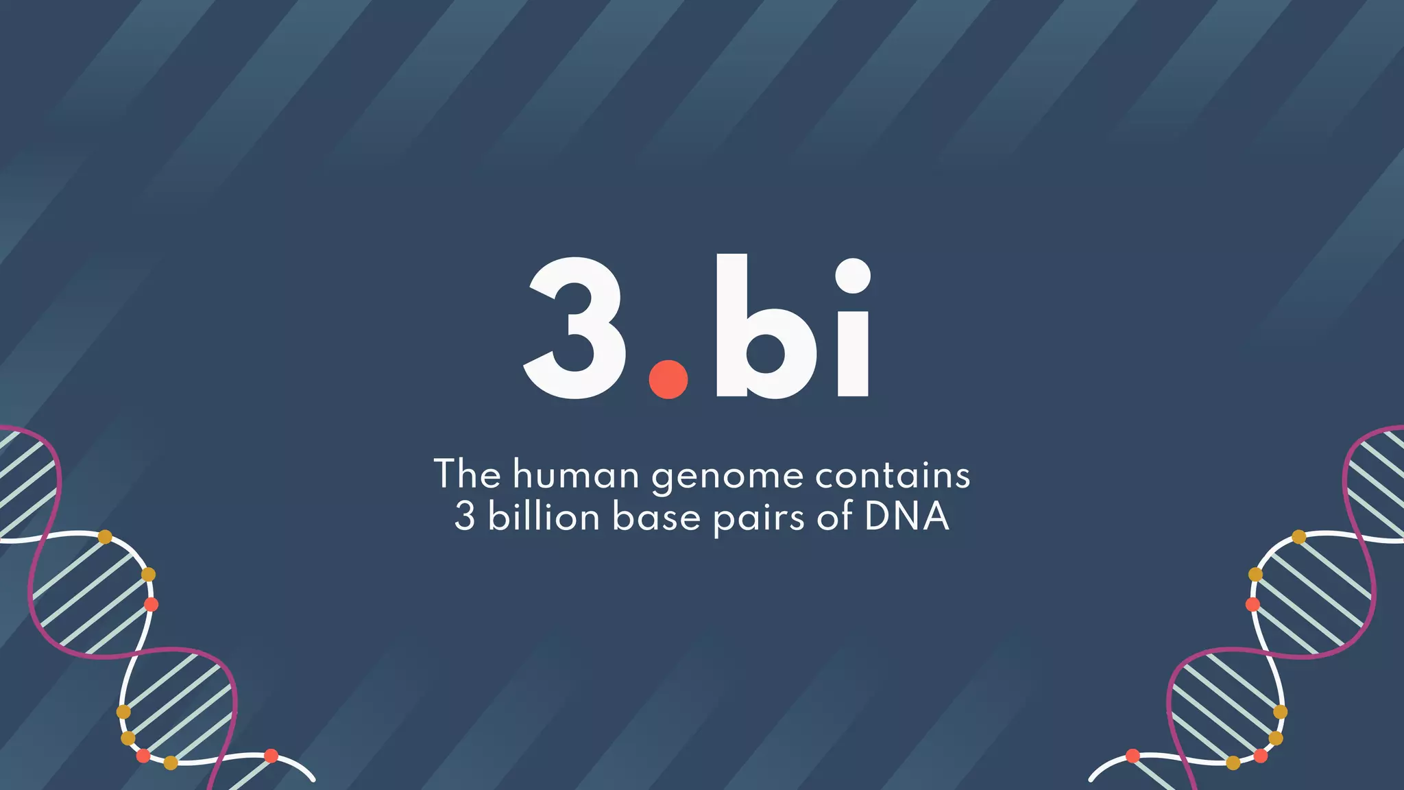 DNA the human body recipe by slidesgo | PPTX
