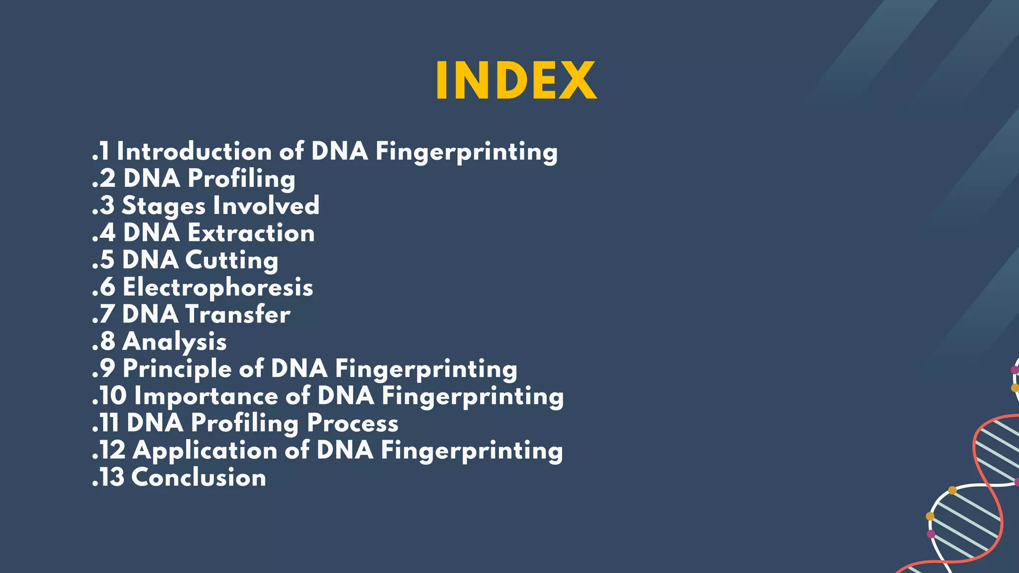 DNA the human body recipe by slidesgo | PPTX