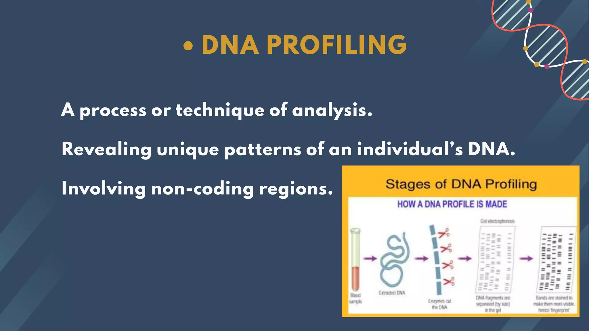 DNA the human body recipe by slidesgo | PPTX