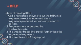 DNA the human body recipe by slidesgo | PPT
