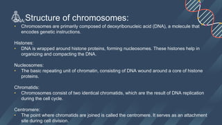 DNA_ The Human Body Recipe by Slidesgo.pptx
