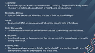 DNA_ The Human Body Recipe by Slidesgo.pptx