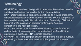 DNA_ The Human Body Recipe by Slidesgo.pptx