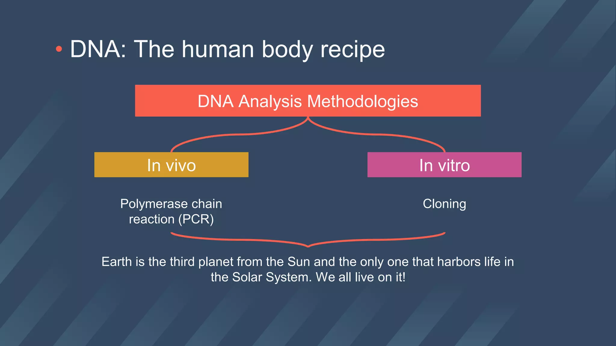 DNA_ The Human Body Recipe Infographics by Slidesgo.pptx