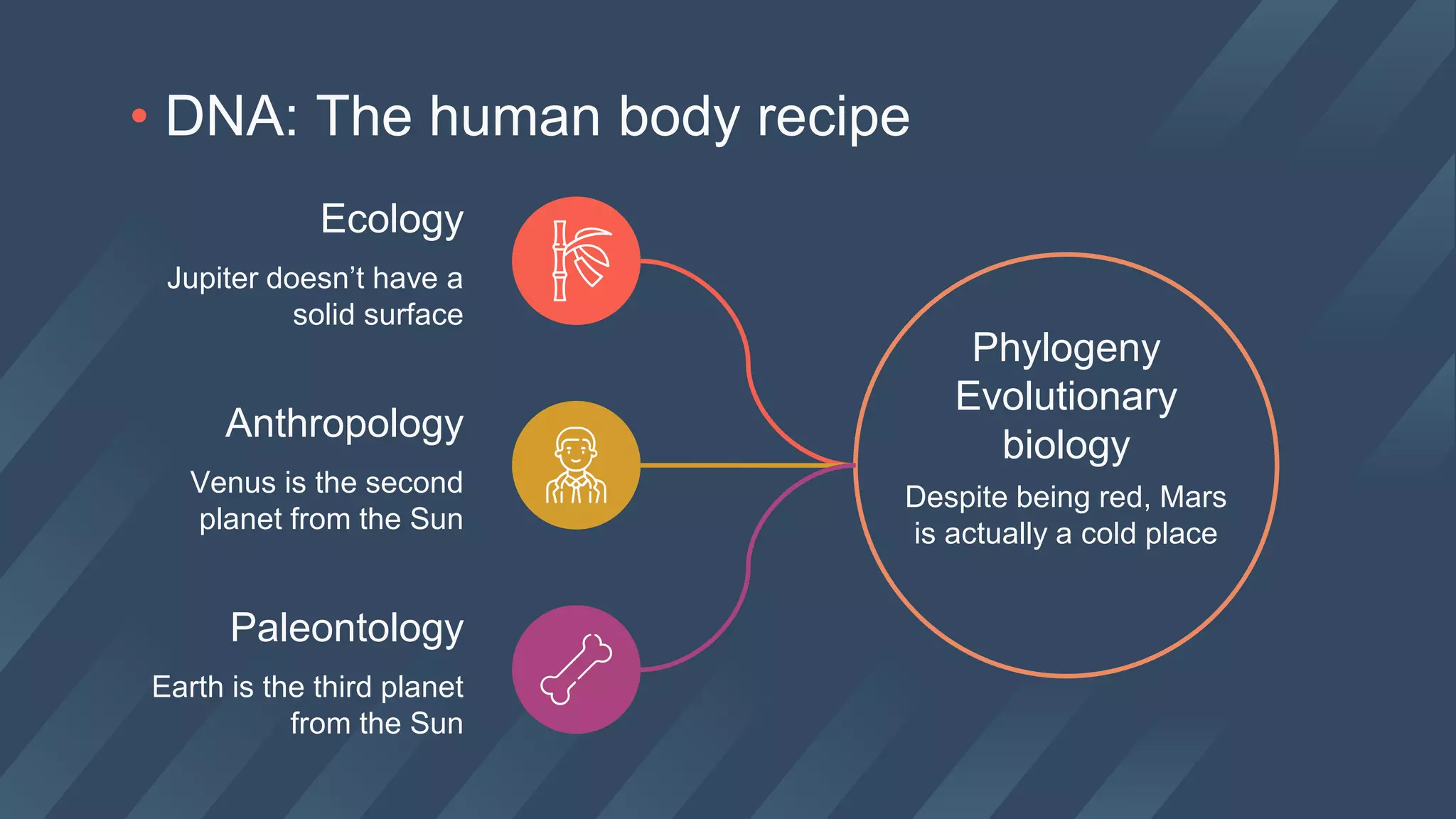 DNA_ The Human Body Recipe Infographics by Slidesgo.pptx