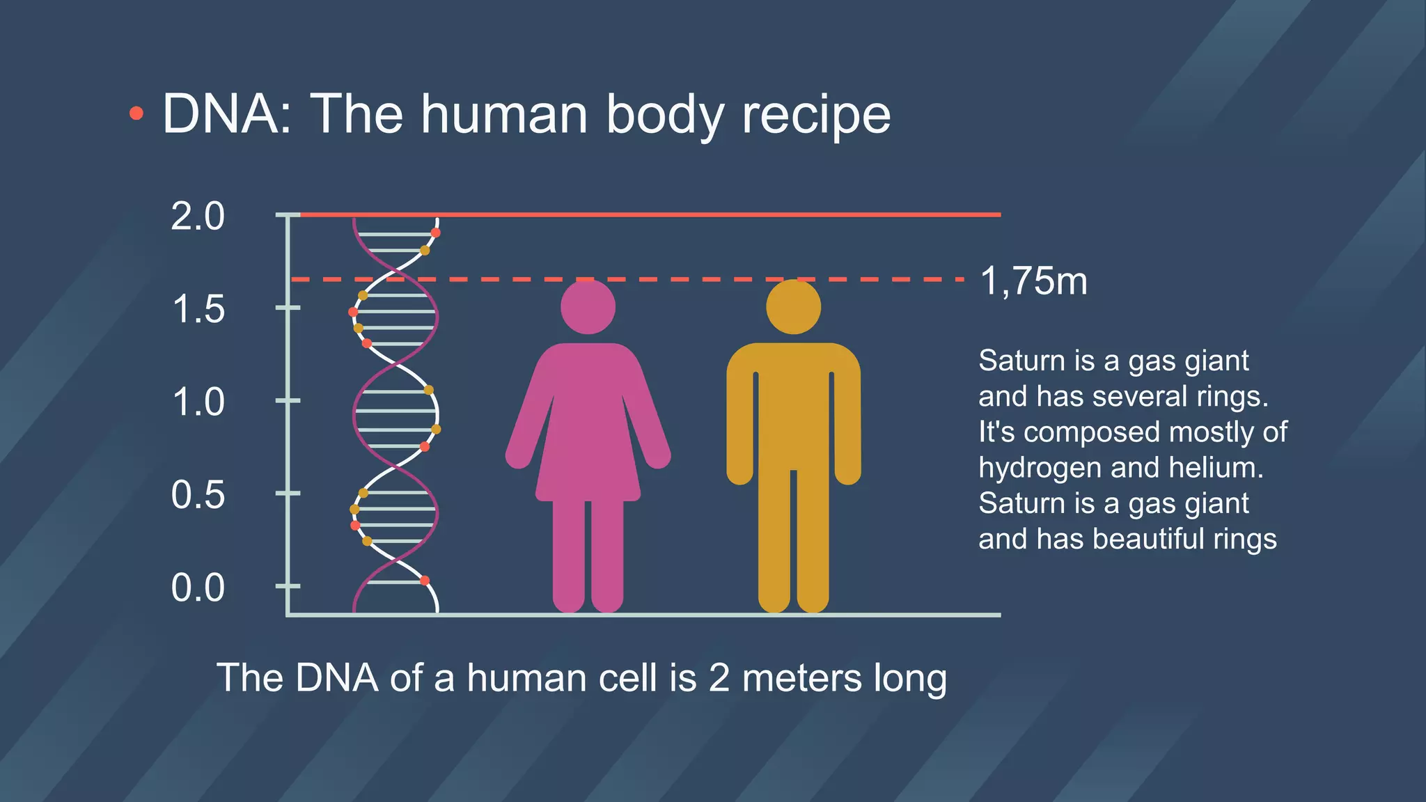 DNA_ The Human Body Recipe Infographics by Slidesgo.pptx