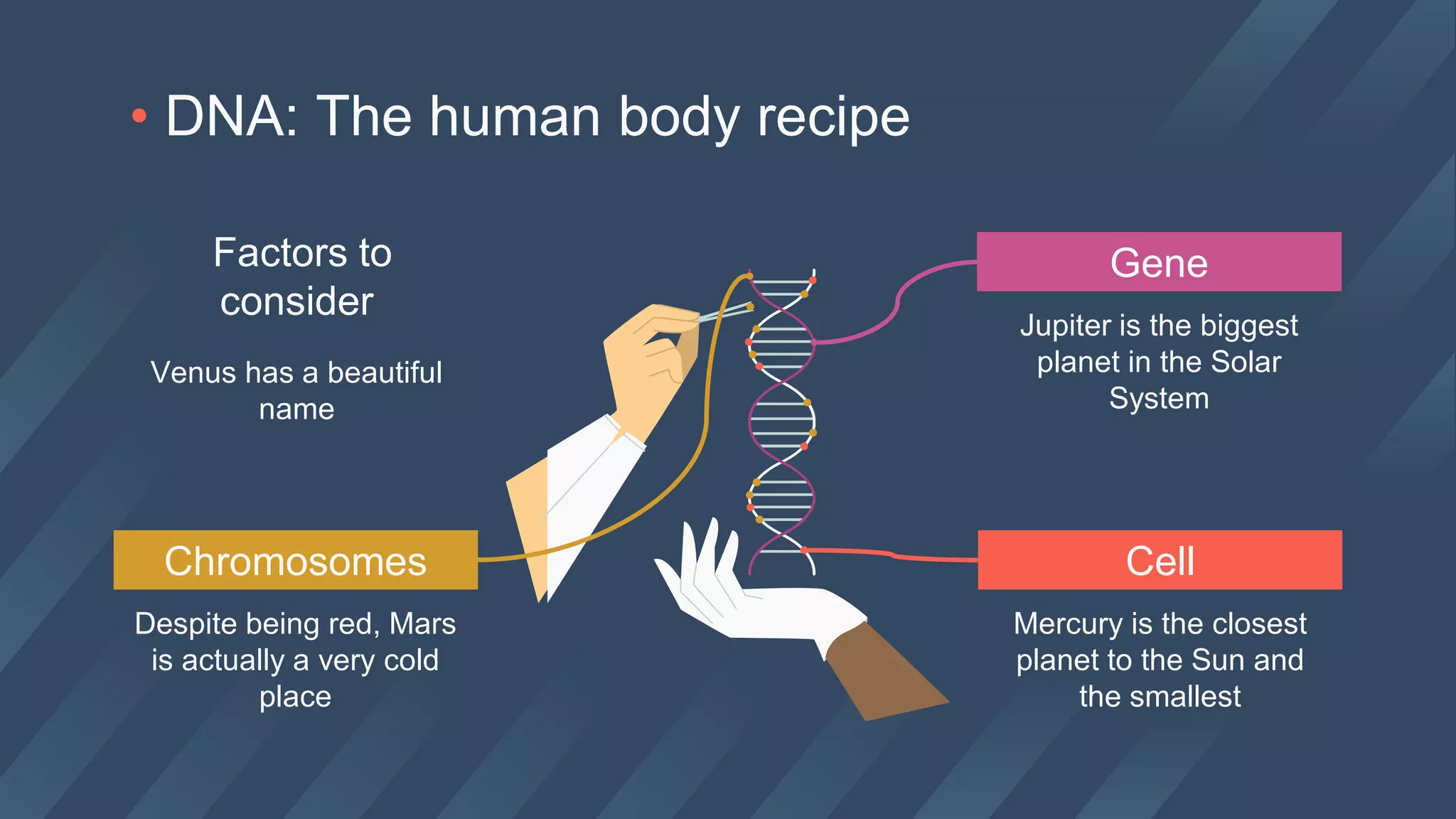 DNA_ The Human Body Recipe Infographics by Slidesgo.pptx