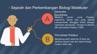DNA_ The Human Body Recipe Infographics by Slidesgo.pptx