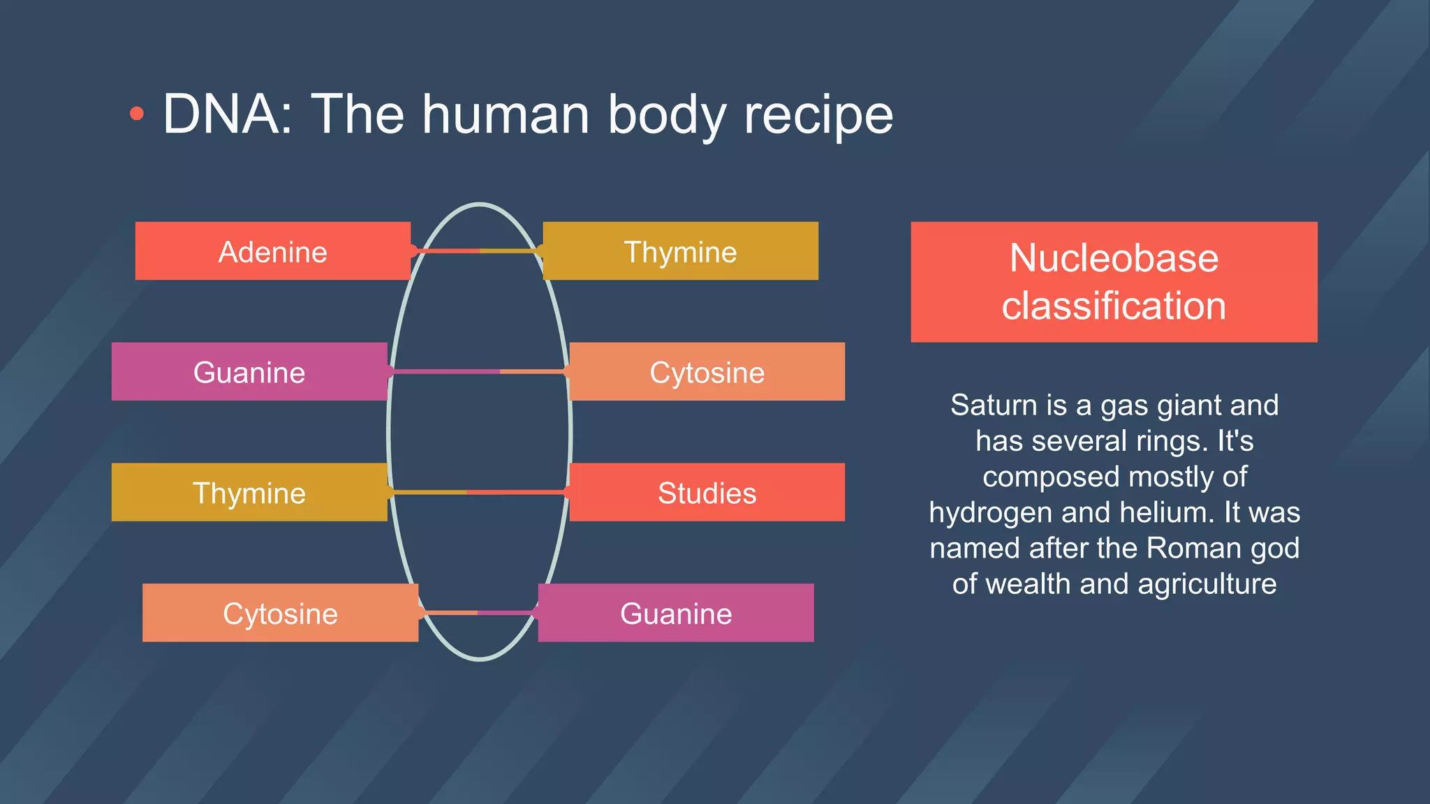 DNA_ The Human Body Recipe Infographics by Slidesgo.pptx