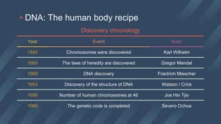 DNA_ The Human Body Recipe Infographics by Slidesgo.pptx