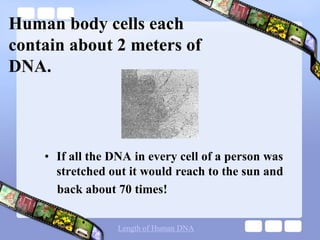 Dna to chromosomes | PPTX