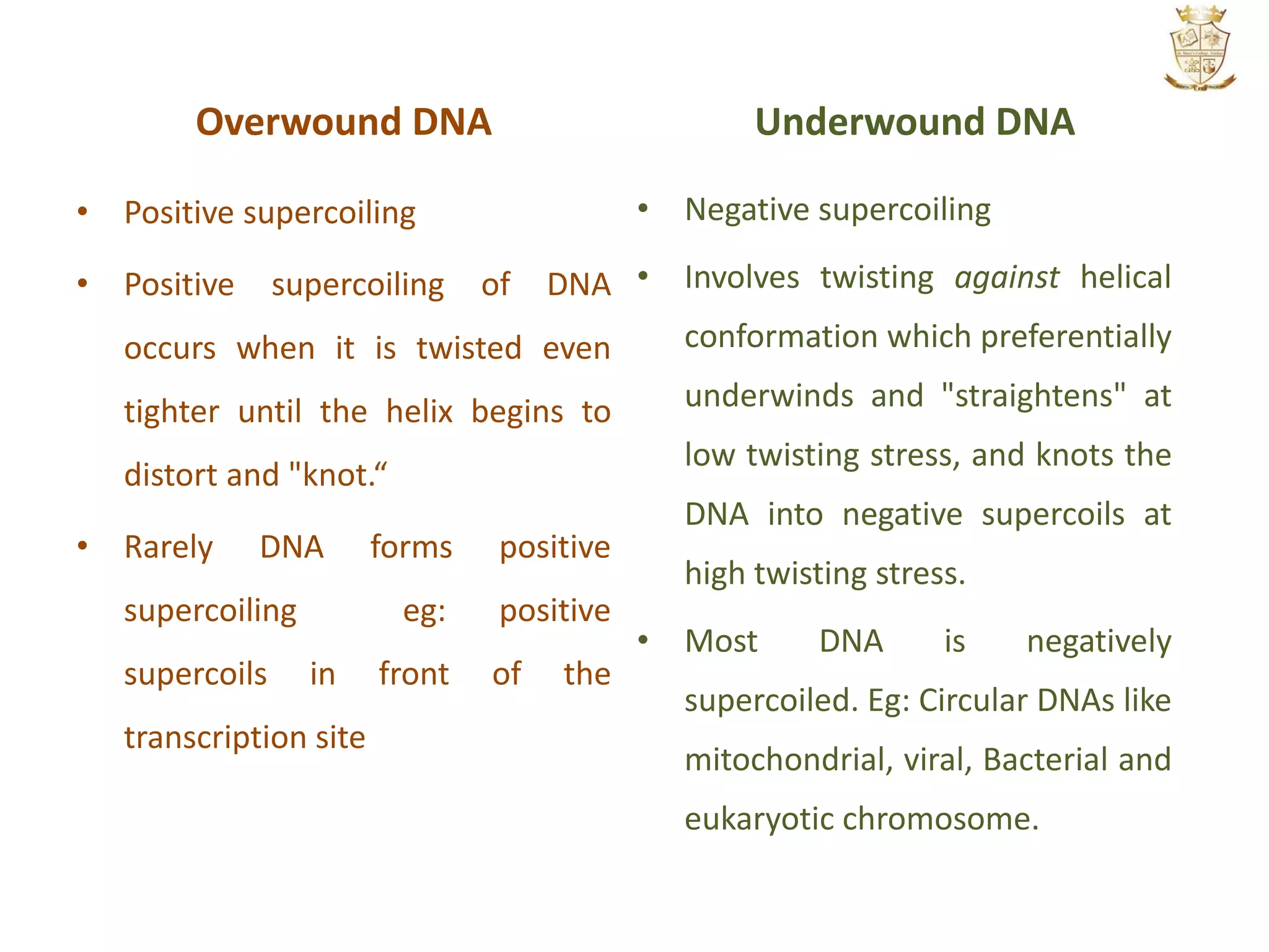 DNA TOPOLOGY | PPTX