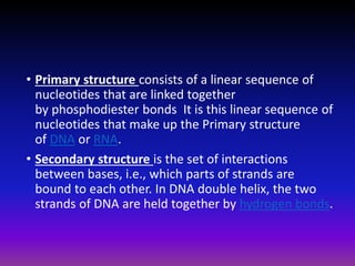 Dna topology | PPTX