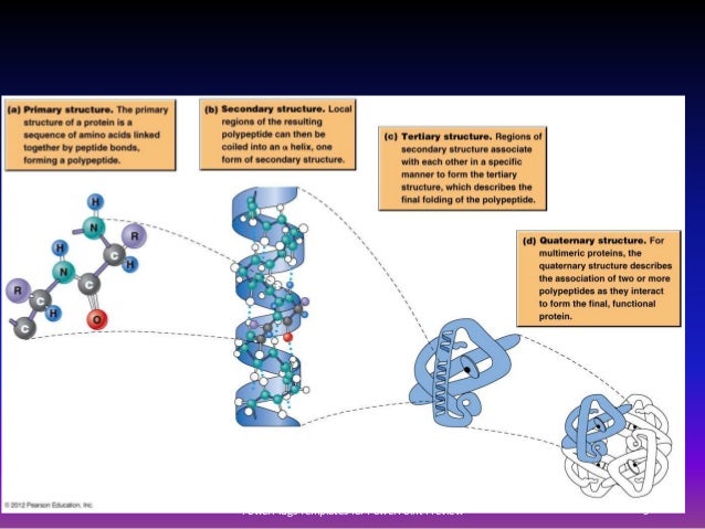 Dna topology