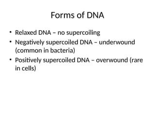ENZYME DNA Gyrase TOPOLOGY & FUNCTION.pptx