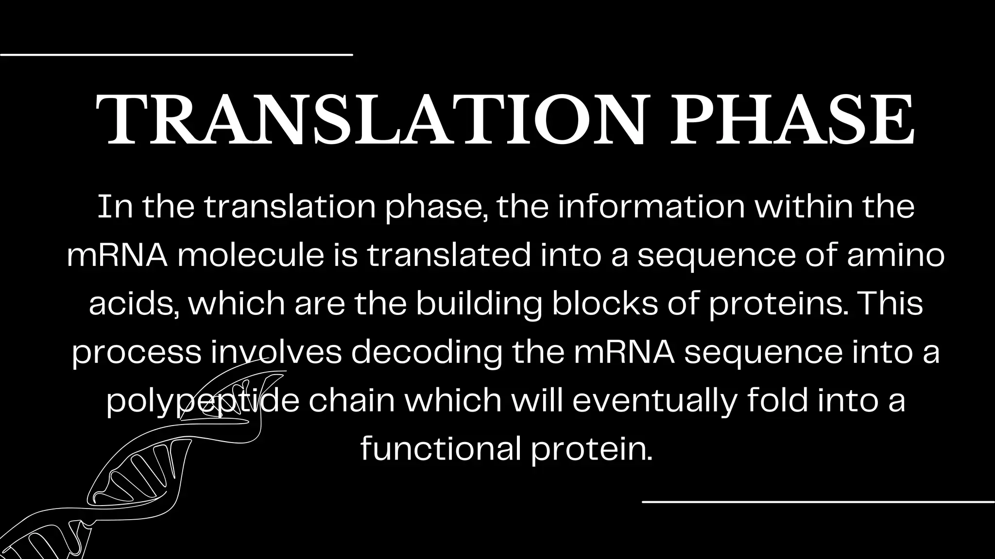 HOW PROTEIN IS MADE USING INFORMATIONS FROM DNA? | PDF