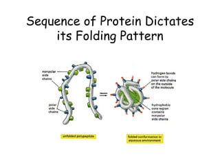 Dna to rna to protein central dogma | PDF