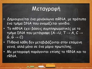 Μεταγραφή του DNA | PPT