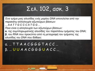 Μεταγραφή του DNA | PPT