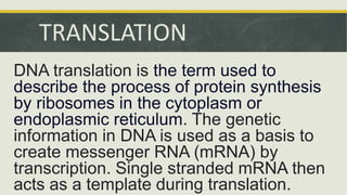 DNA TRANSCRIPTION GRADE 10 SCIENCE..pptx