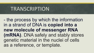 DNA TRANSCRIPTION GRADE 10 SCIENCE..pptx