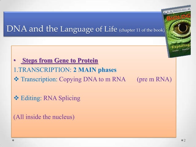 Dna transcription and translation (10th grade) | PPTX