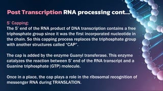 DNA TRANSCRIPTION GROUP ASSIGNMENT.pptx