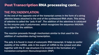 DNA TRANSCRIPTION GROUP ASSIGNMENT.pptx