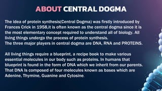 DNA TRANSCRIPTION GROUP ASSIGNMENT.pptx