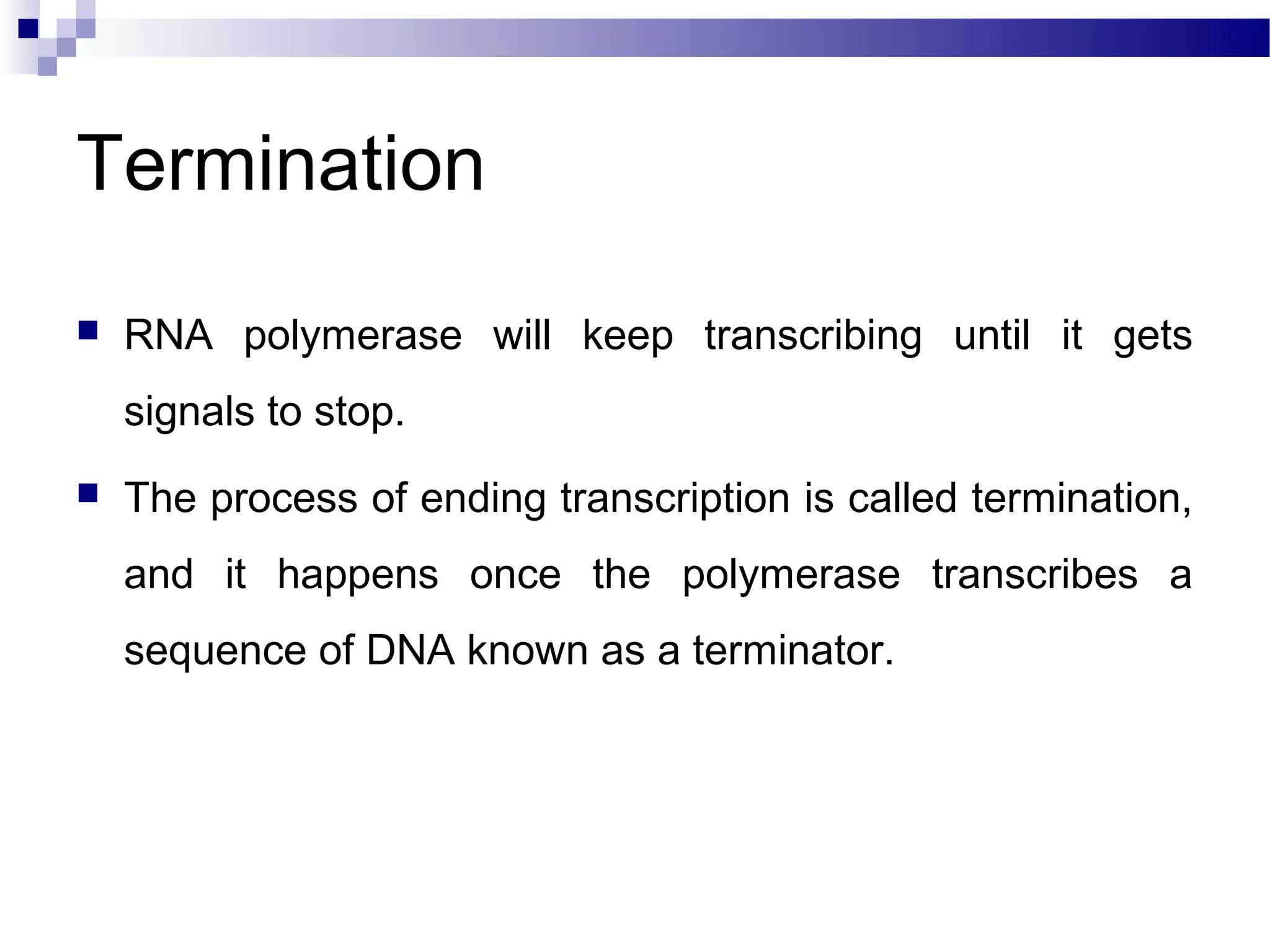 DNA transcription & Post Transcriptional Modification | PPT