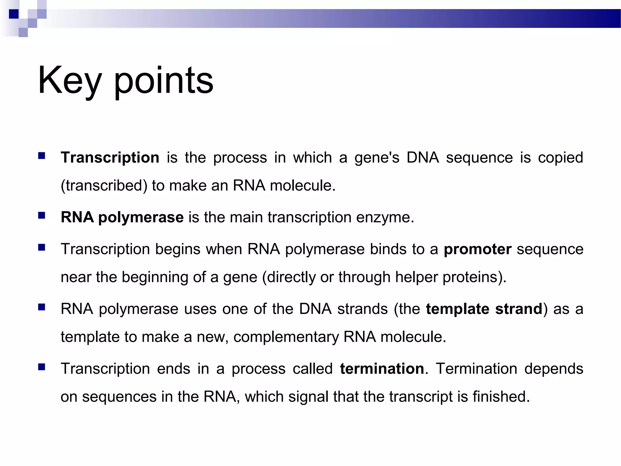 DNA transcription & Post Transcriptional Modification | PPT