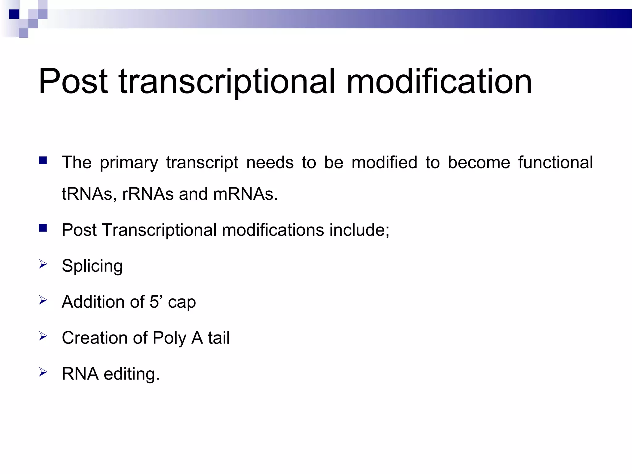 DNA transcription & Post Transcriptional Modification | PPT