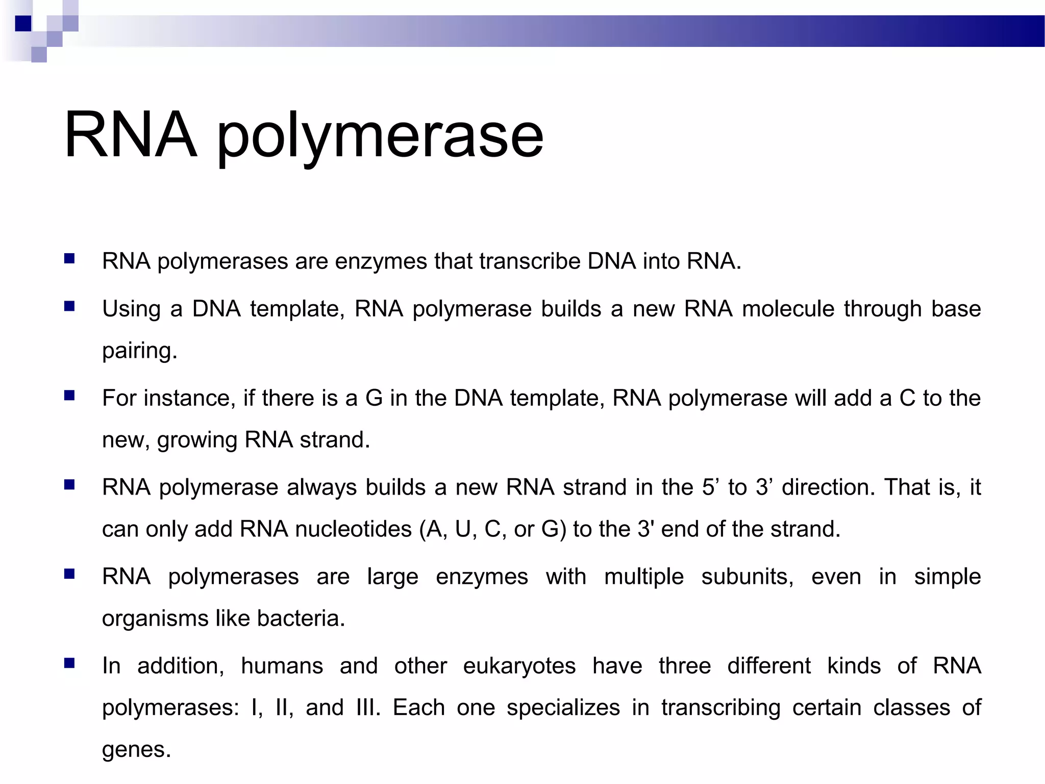 DNA transcription & Post Transcriptional Modification | PPT