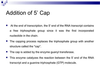 DNA transcription & Post Transcriptional Modification | PPT