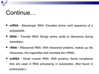 DNA transcription & Post Transcriptional Modification | PPT