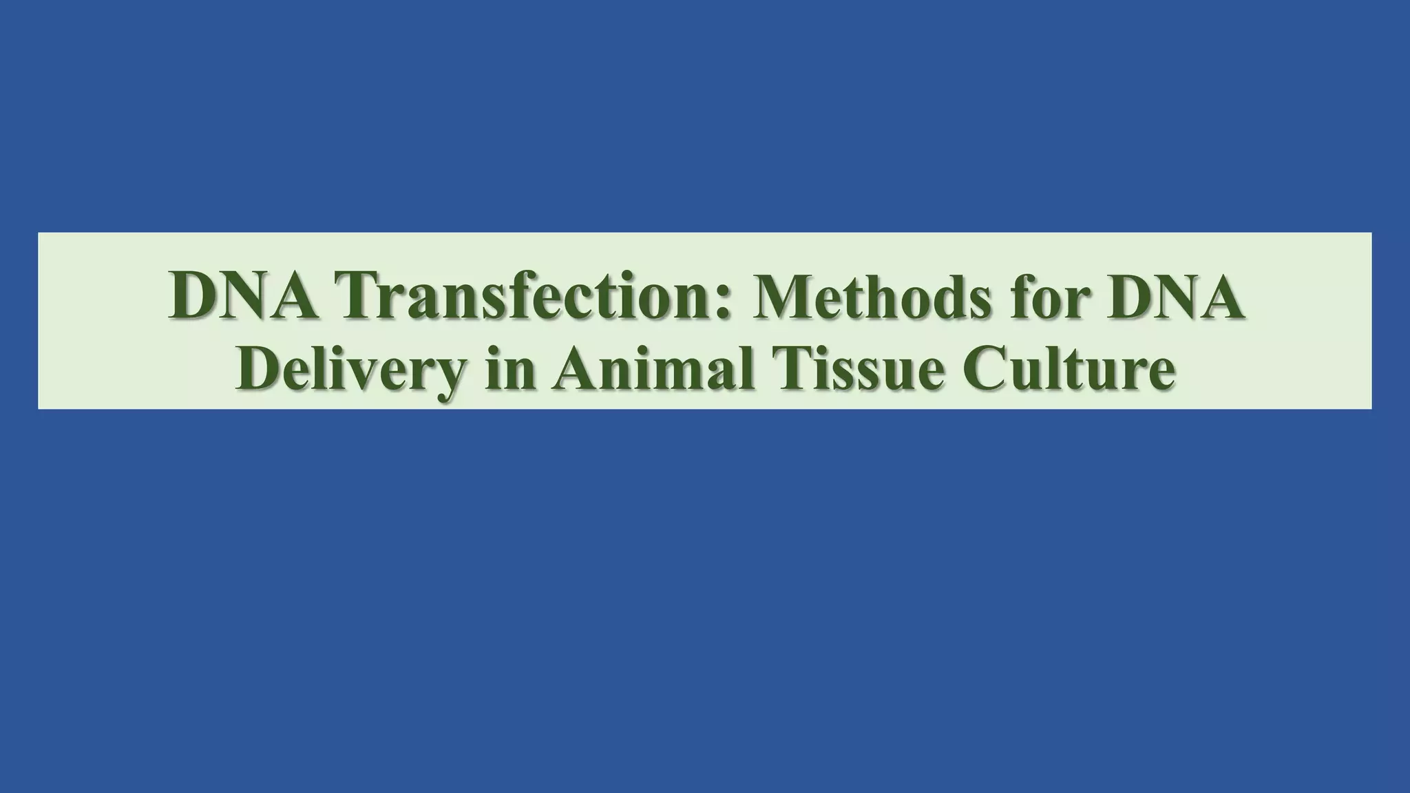 DNA Transfection in Animal tissue culture and its methods.pptx
