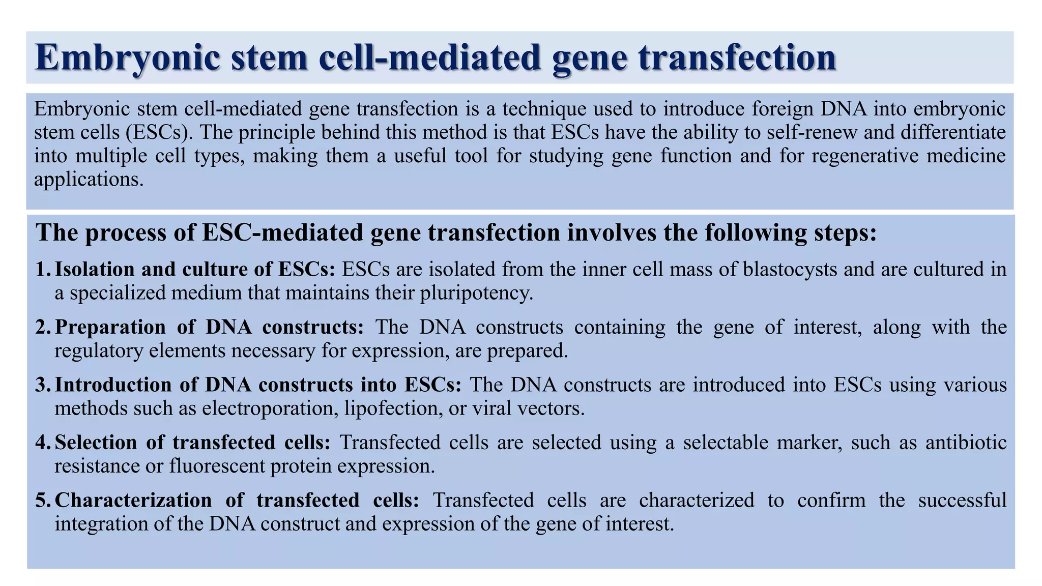 DNA Transfection in Animal tissue culture and its methods.pptx