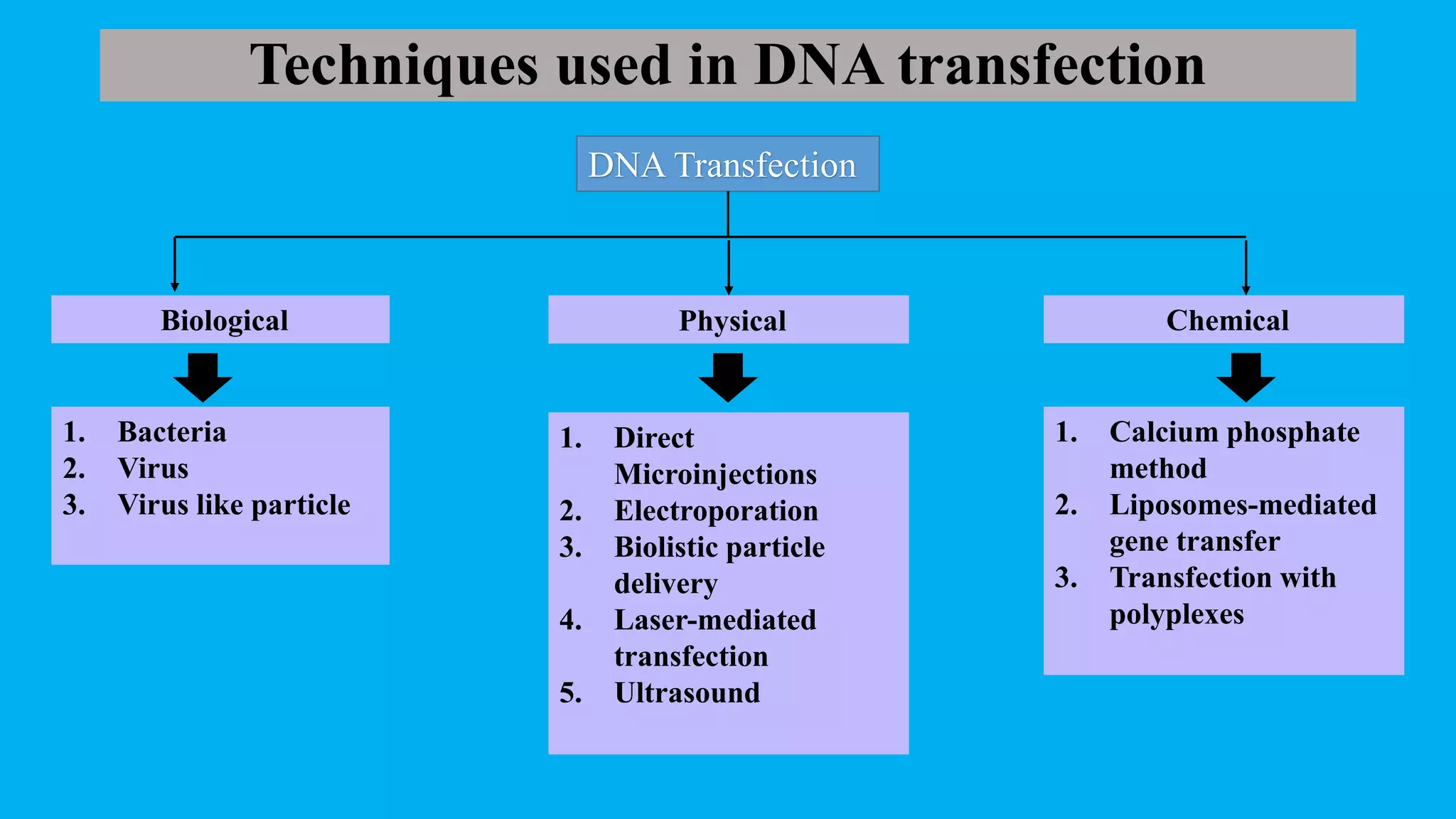 DNA Transfection in Animal tissue culture and its methods.pptx